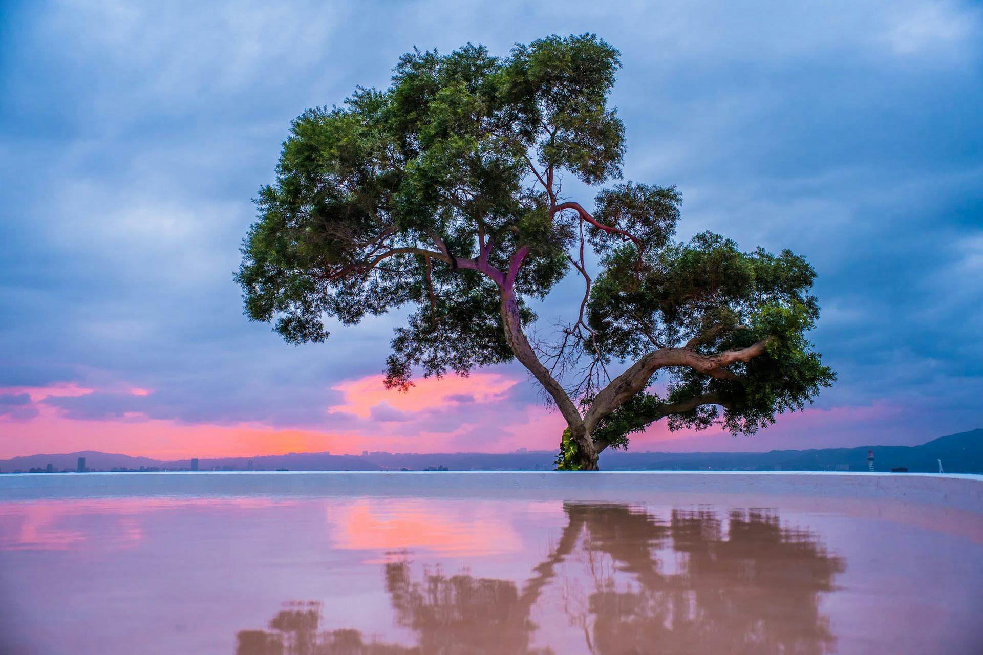 天使仙境 ANGEL LAND | Book Now! - inline online bookings