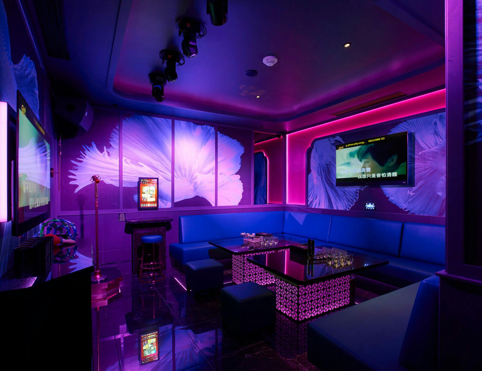 Ocean 12 | Book Now! - inline online bookings