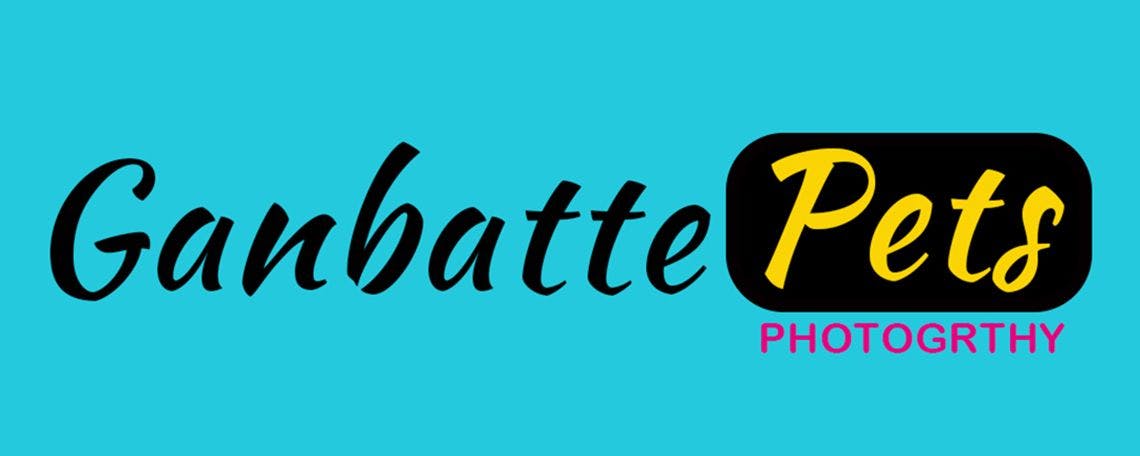 Ganbatte 更爸爹 | 立即訂位！inline 線上訂位預約