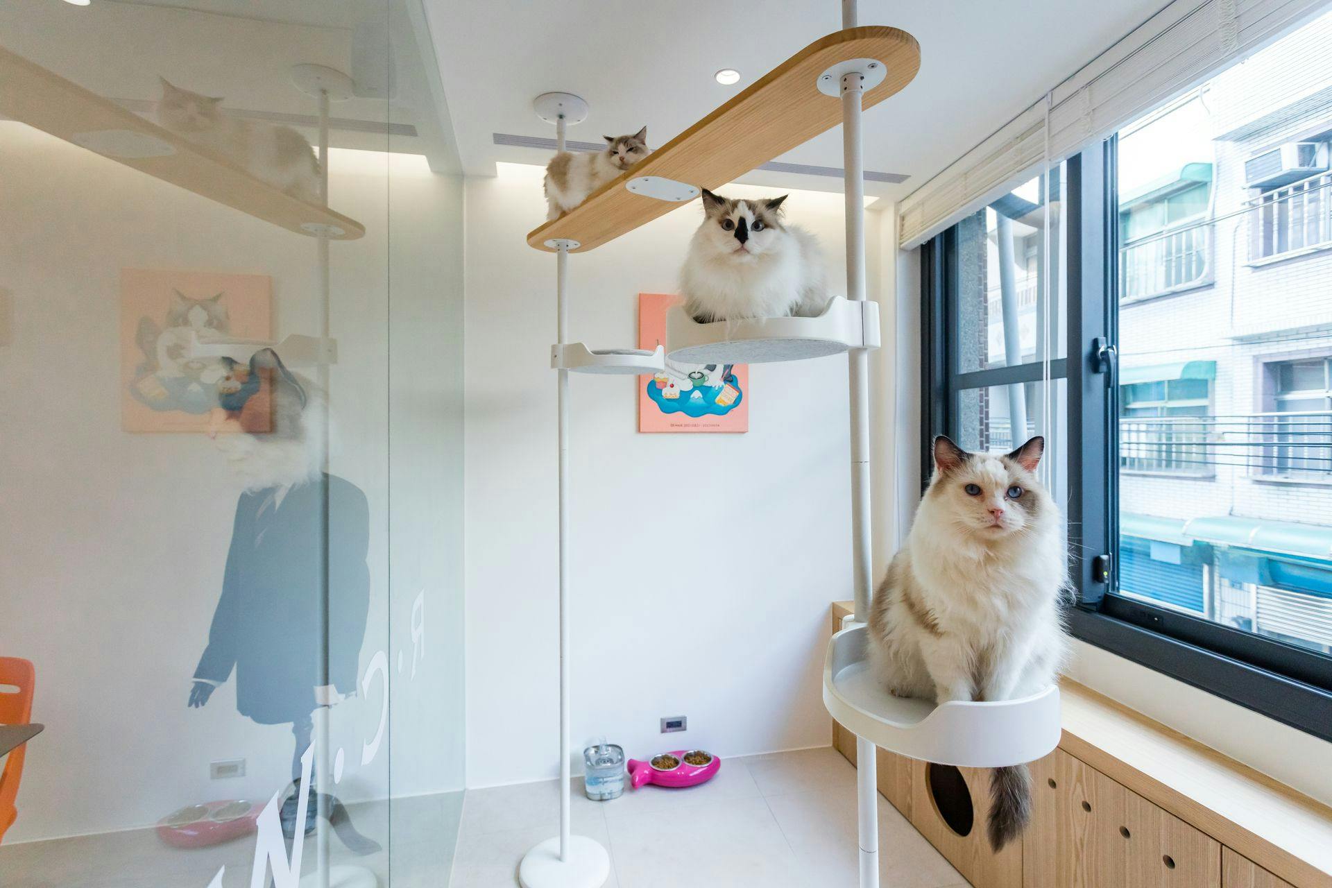 RCW | Book Now! - inline online bookings