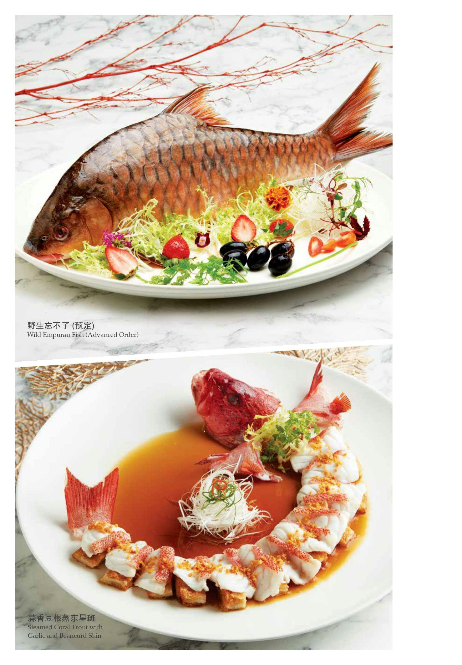 Taste Paradise | Book Now! - inline online bookings