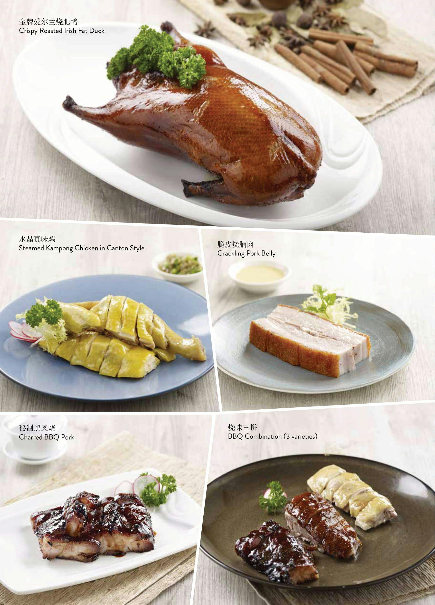 Canton Paradise ARC | Book Now! - inline online bookings