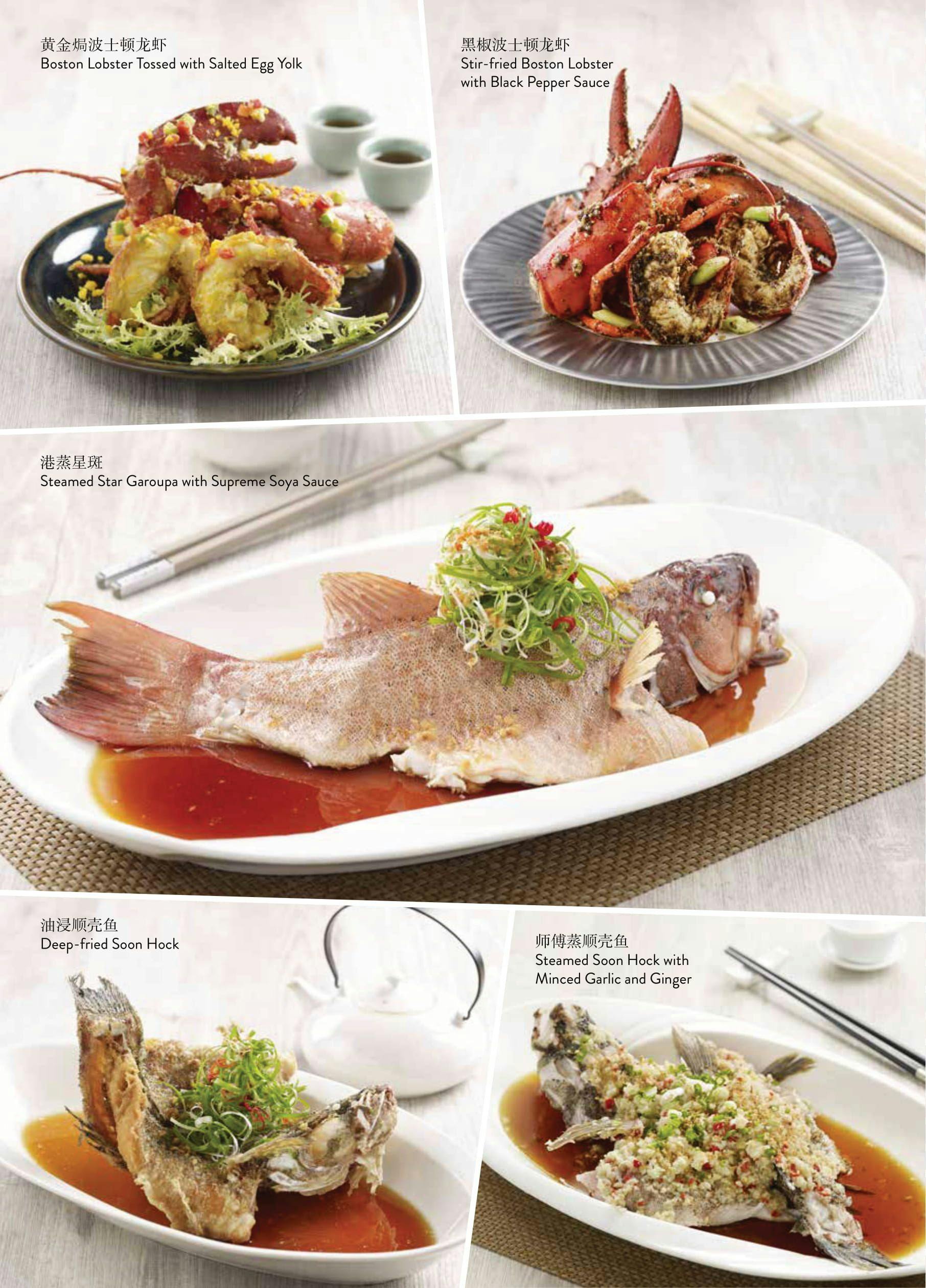 Canton Paradise ARC | Book Now! - inline online bookings