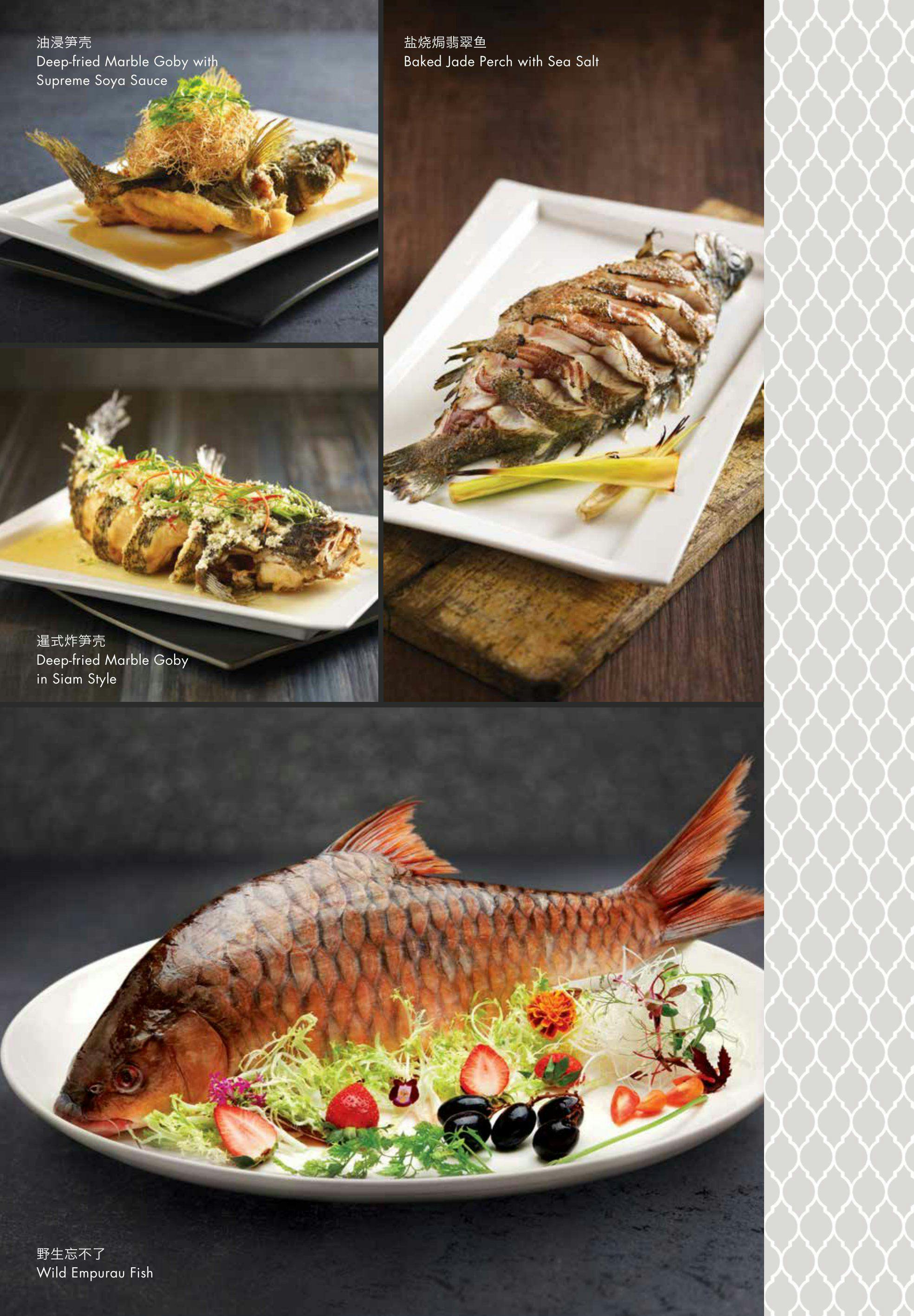 Seafood Paradise | Book Now! - inline online bookings