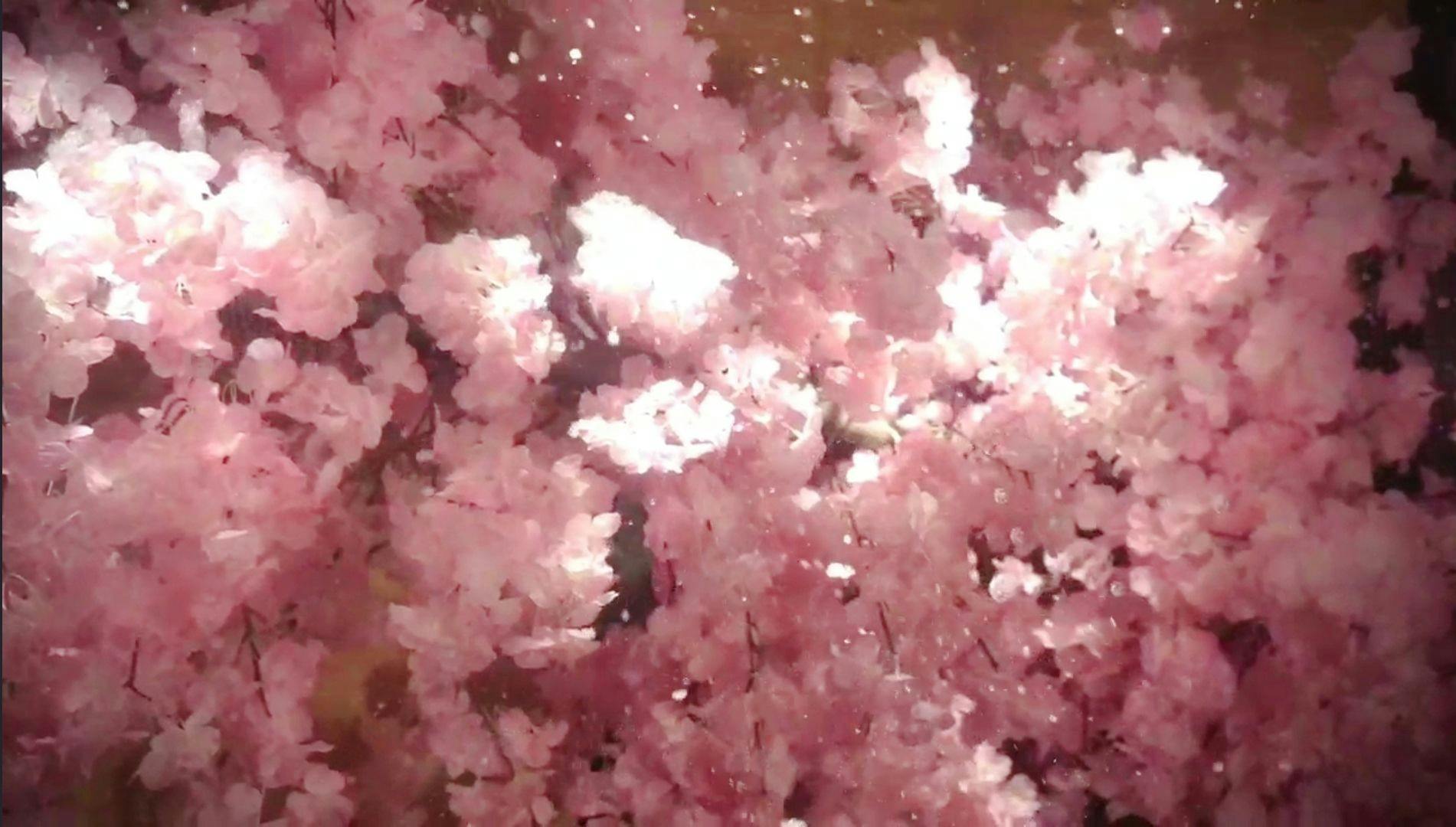 八瀧 Yataki | 立即訂位！inline 線上訂位預約